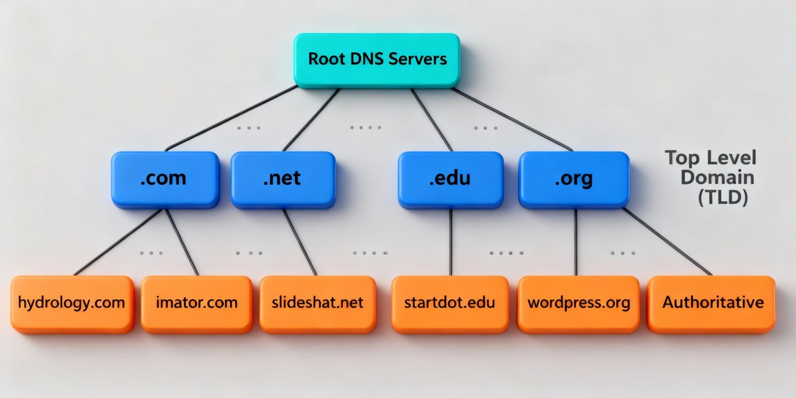 DNS Architecture : Root, TLD, and Nameserver Dynamics