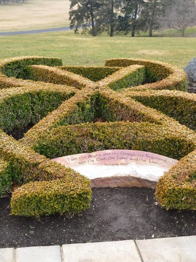 CloudCusp • The Fine Structure Constant: A Key to Understanding Nature